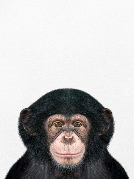 Monkey Print, Monkey Wall Art, Monkey Decor, Living Room Art, Farmhous ...